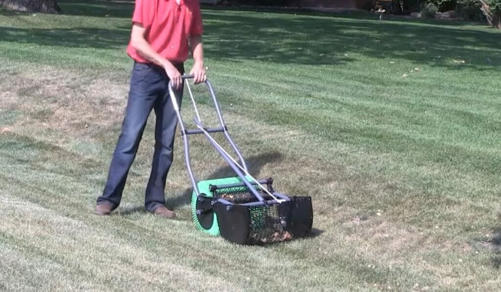 How To Pick Up Acorns: The Ultimate Guide for Beginners