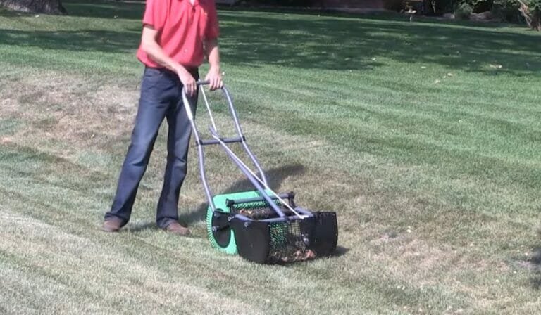 How To Pick Up Acorns: The Ultimate Guide for Beginners