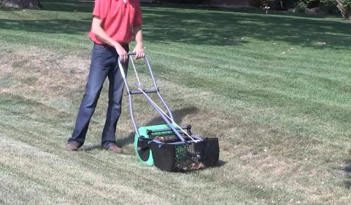 How To Pick Up Acorns: The Ultimate Guide for Beginners