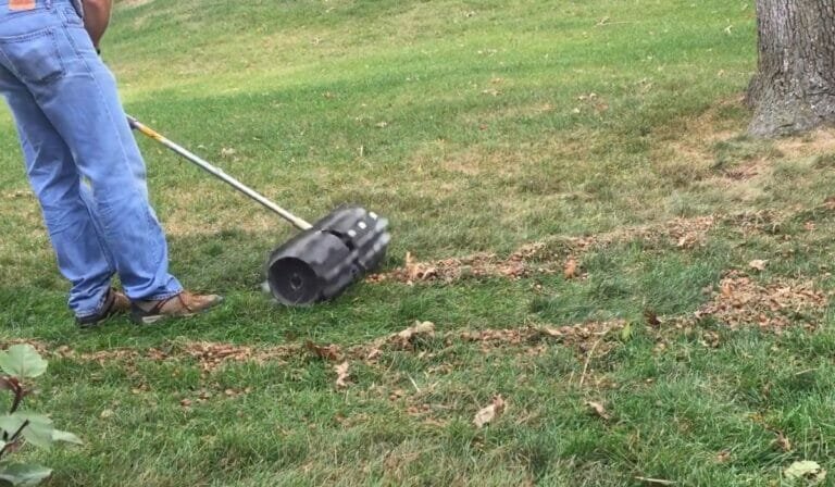 How To Pick Up Acorns: The Ultimate Guide for Beginners