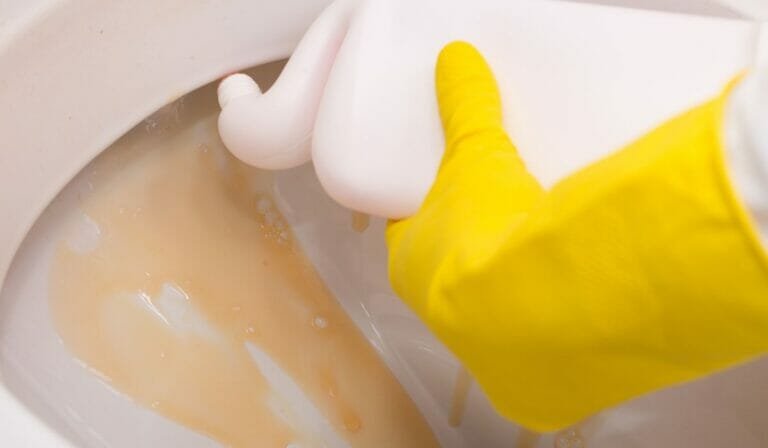 Can You Use Toilet Bowl Cleaner With a Septic System?