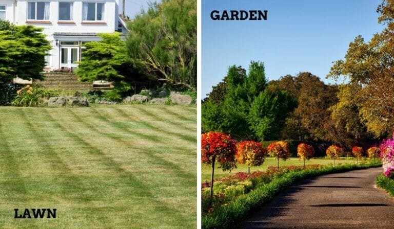 What Is the Difference Between Lawn and Garden