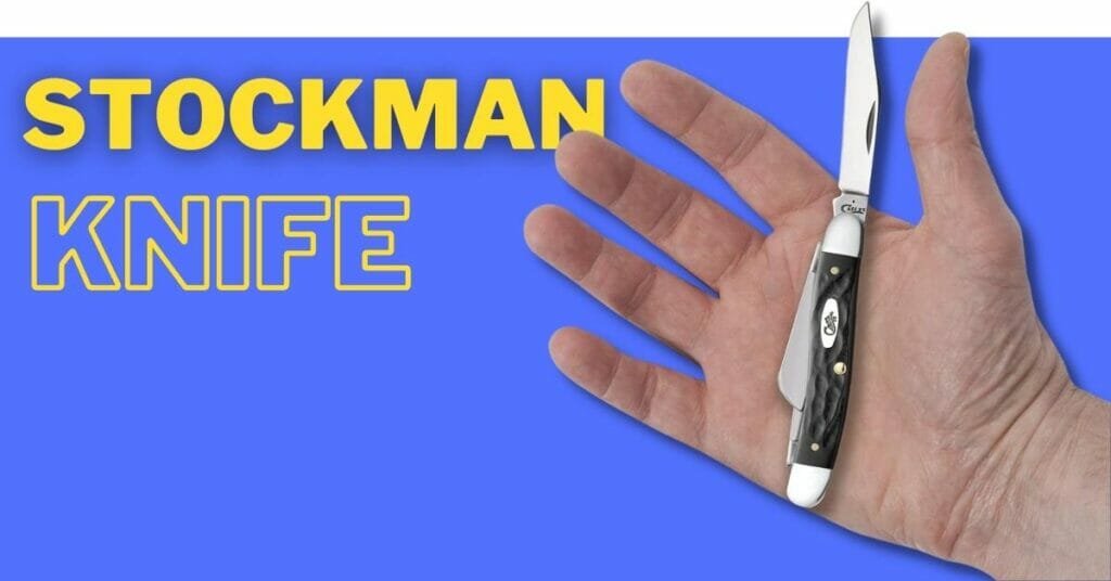 The 6 Best Stockman Knife of 2022